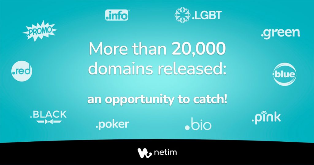 More than 20,000 domaines released, an opportunity to catch! - Netim Blog