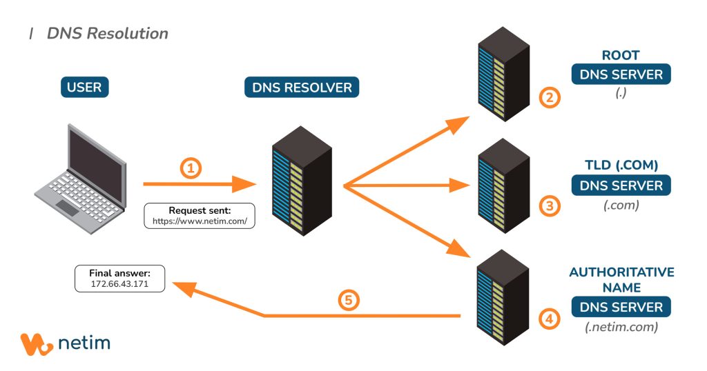 What is DNS and how does it work? - Netim Blog